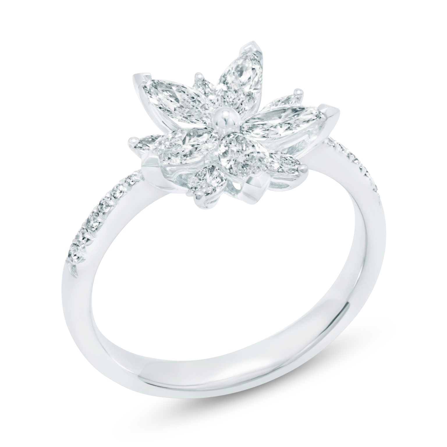 Rings – Dhamani